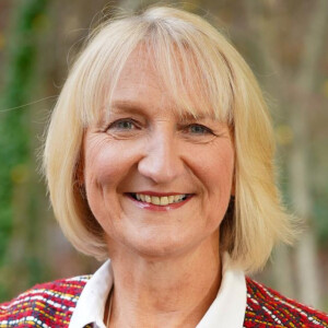 Jacqui Durkin reappointed to Northern Ireland justice watchdog | Irish ...