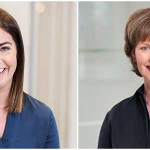 Analysis: S.1.391 25 years on - and the Harrington Undertaking | Irish ...