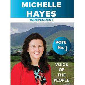 Michelle Hayes to contest general election in Limerick | Irish Legal News